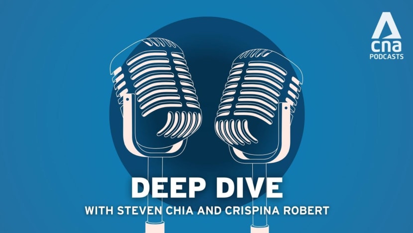 Deep Dive Podcast: DeepSeek - What difference will cheaper AI make? - CNA
